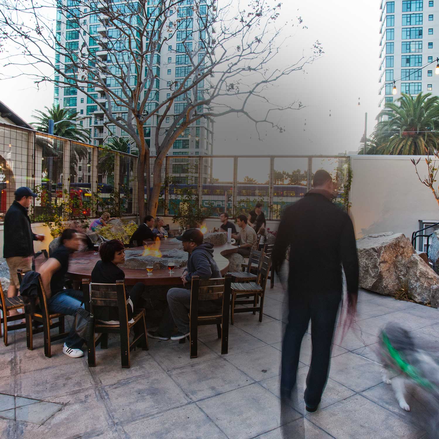 Stone Brewing Tap Room - Kettner | Stone Brewing